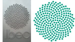 Sunflowers and Fibonacci: Models of Efficiency – ThatsMaths