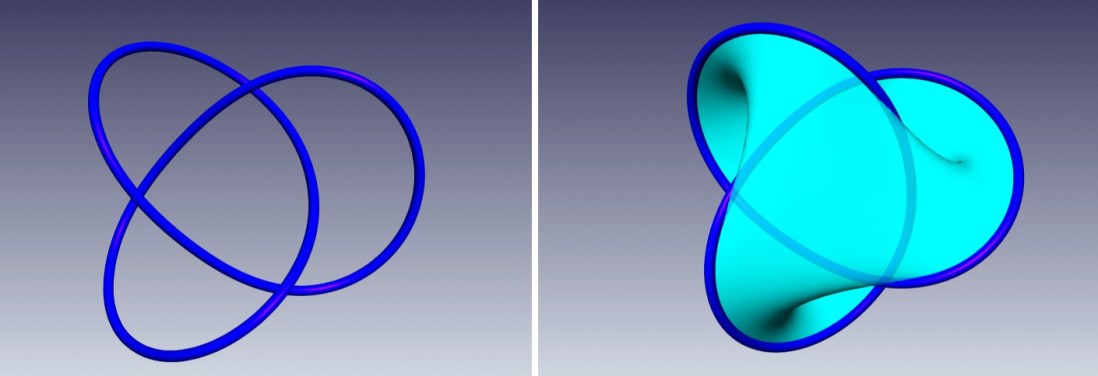 Seifert Surfaces for Knots and Links. – ThatsMaths